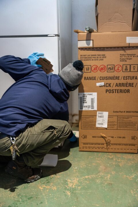 Rat Prevention in Boston: Keeping Your Home and City Safe | Johnny B ...