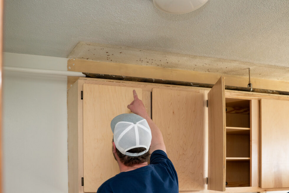Keep Pests Out: A Room-by-Room Guide | Johnny B Pest Control