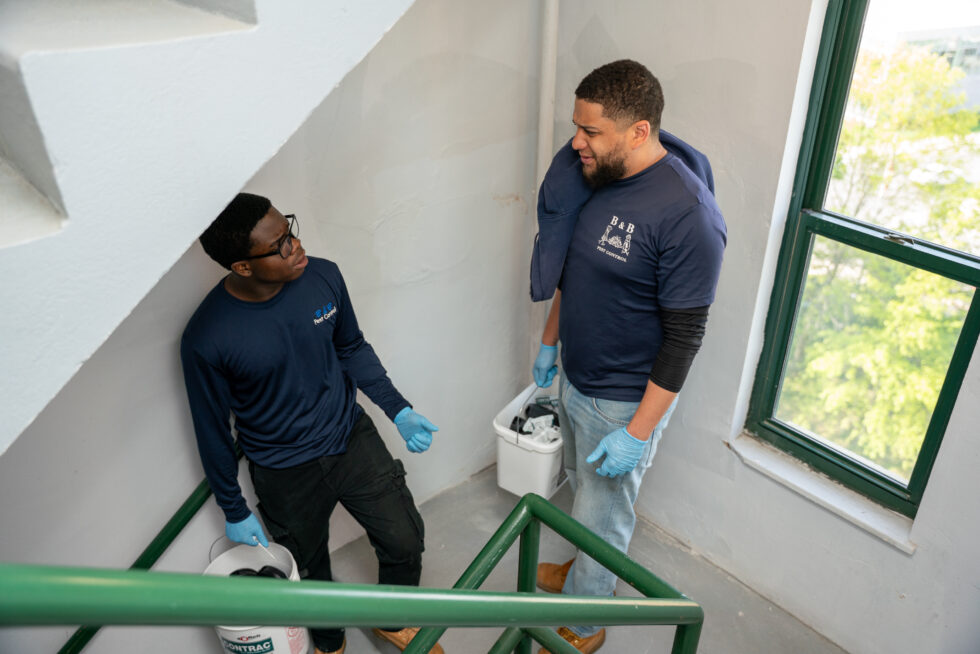 How to Keep Rats Outside: Proven Prevention Tips from Boston Pros ...